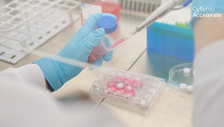 Accelerating the 3D approach to cell culture | Life Sciences